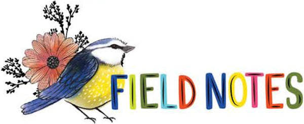 Field Notes - Vicki Boutin - Newest to Oldest – Scrapbooking for Less